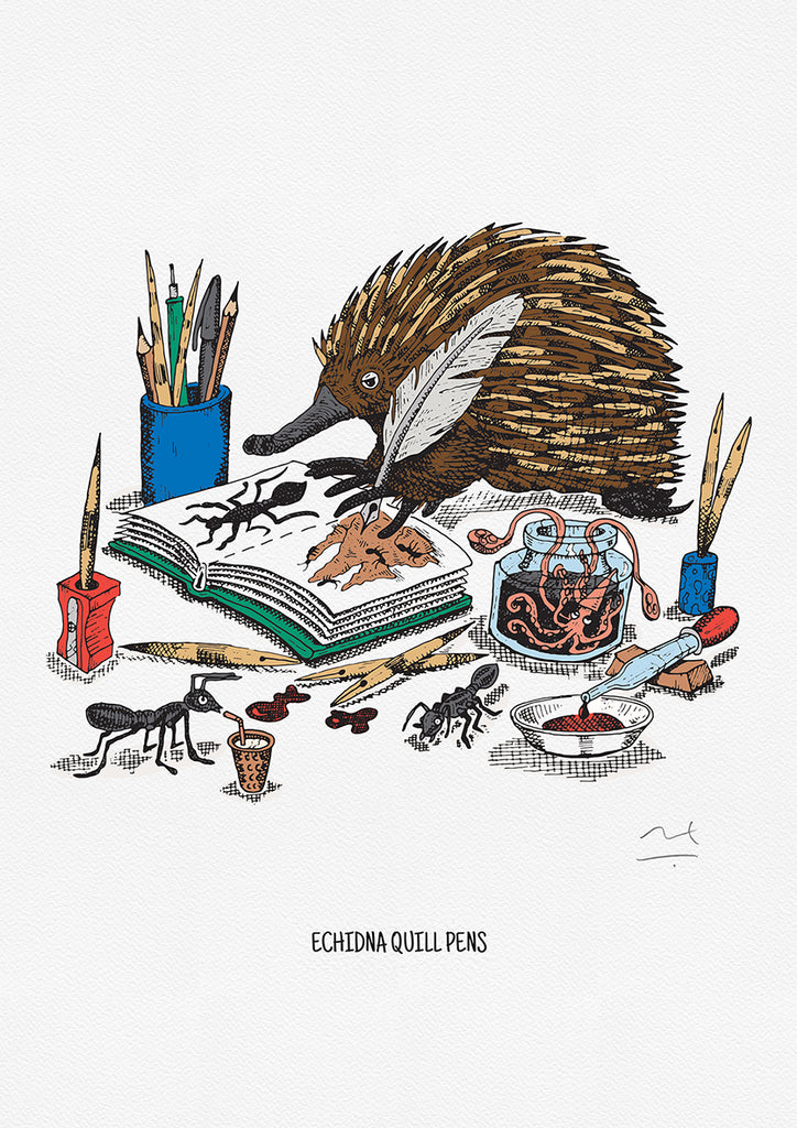 Fine Art Print: Echidna Quill Pens – Squidinki
